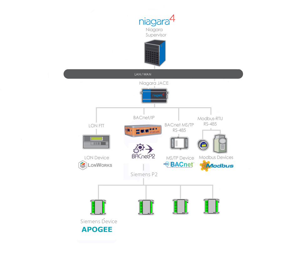Niagara Architecture- PurpleSwift